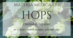 Hops – Golden Poppy Herbal Apothecary