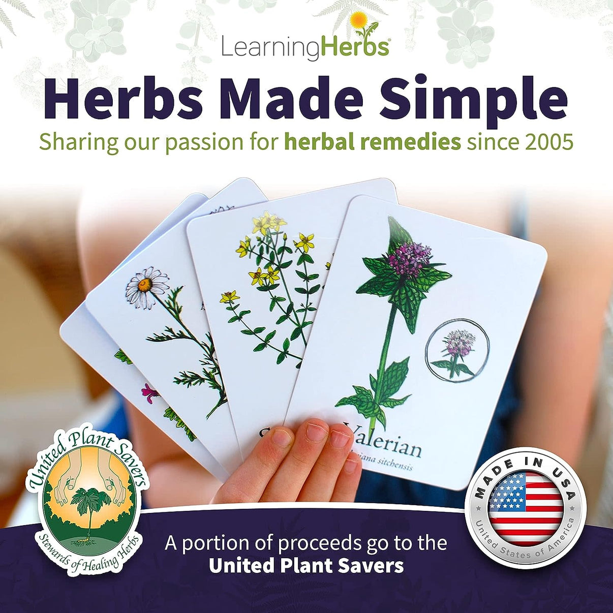 Wildcraft! Board Game - Learning Herbs – Golden Poppy Herbal Apothecary